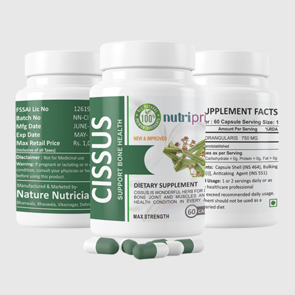 Cissus Quadrangularis | Nature Nutricia