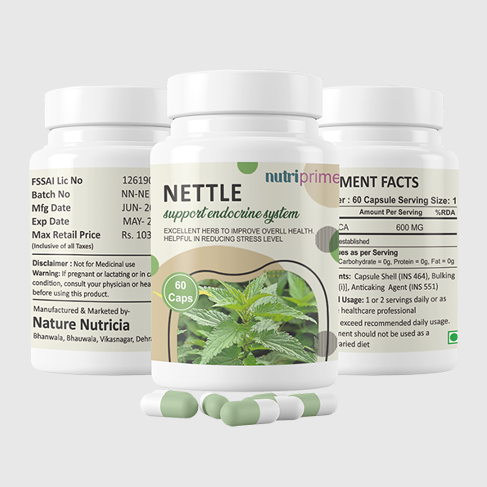 Nettle | Nature Nutricia